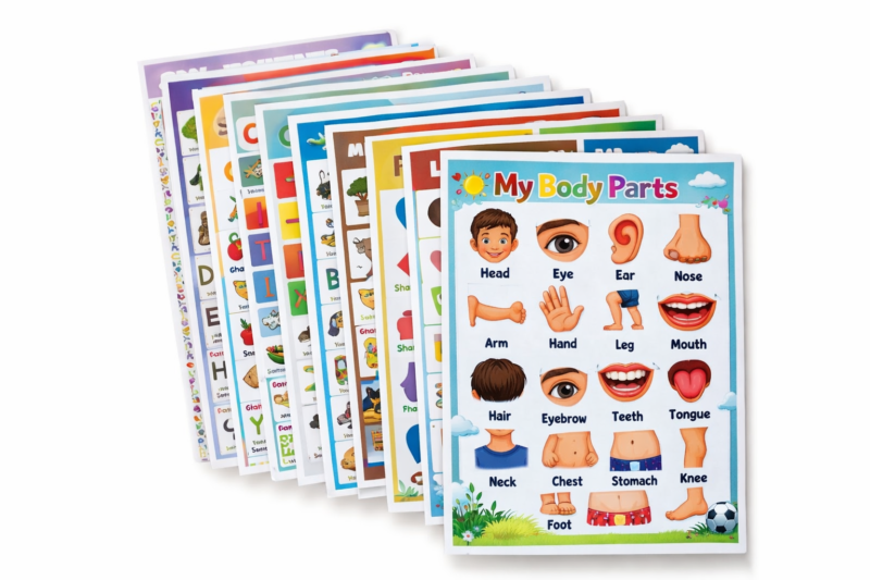Kids Educational Laminated Chart Set (14 Charts) - CutCraftStudio